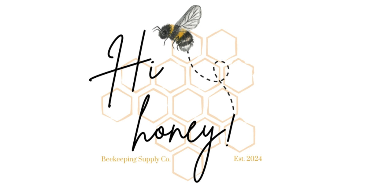 Frame & Foundation - Assembled – Hi Honey! Beekeeping Supply Co.